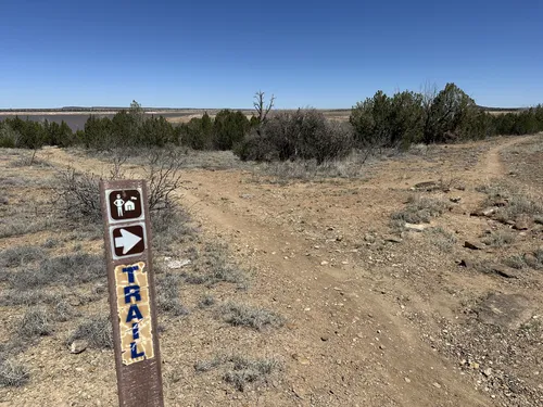 Best Walking Trails in Santa Rosa | AllTrails