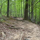 Lake Johnson East Loop Trail, North Carolina - 2,453 Reviews, Map ...