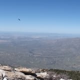 Rincon Peak Trail, Arizona - 164 Reviews, Map | AllTrails
