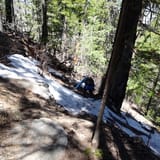 Rincon Peak Trail, Arizona - 164 Reviews, Map | AllTrails