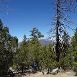 Rincon Peak Trail, Arizona - 159 Reviews, Map | AllTrails