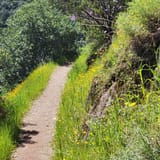 Stevens Trail, California - 4,604 Reviews, Map | AllTrails