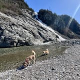 Nugget Falls Trail, Alaska - 1,189 Reviews, Map | AllTrails