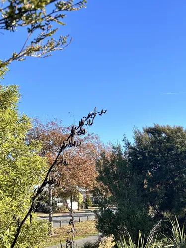 Best Beach Trails in Bottle Lake Forest Park | AllTrails