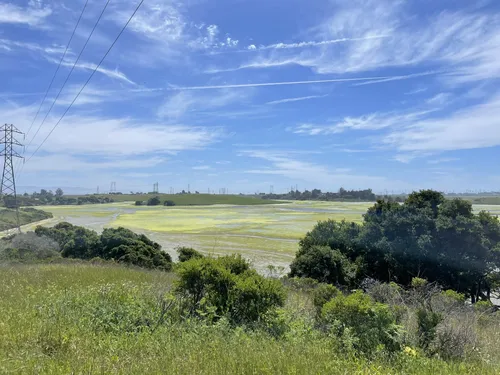 Best Wheelchair Friendly Trails in Elkhorn Slough National Estuarine Research Reserve | AllTrails