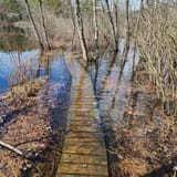 Hudson Pointe Nature Preserve, New York - 794 Reviews, Map | AllTrails