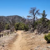 Atalaya Mountain Trail, New Mexico - 2,601 Reviews, Map | AllTrails