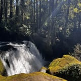 Whatcom Creek Trail Loop, Washington - 1,942 Reviews, Map | AllTrails