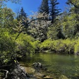 Whatcom Creek Trail Loop, Washington - 1,942 Reviews, Map | AllTrails
