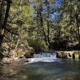 Whatcom Creek Trail Loop, Washington - 1,942 Reviews, Map | AllTrails