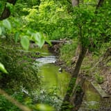 Forney Community Park, Texas - 60 Reviews, Map | AllTrails