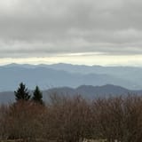 Andrews Bald Trail, North Carolina - 2,414 Reviews, Map | AllTrails