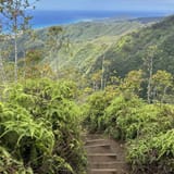 Kuliʻouʻou Ridge Trail, Oahu, Hawaii - 8,157 Reviews, Map | AllTrails