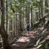Rampart Ridge Loop, Washington - 2,118 Reviews, Map | AllTrails