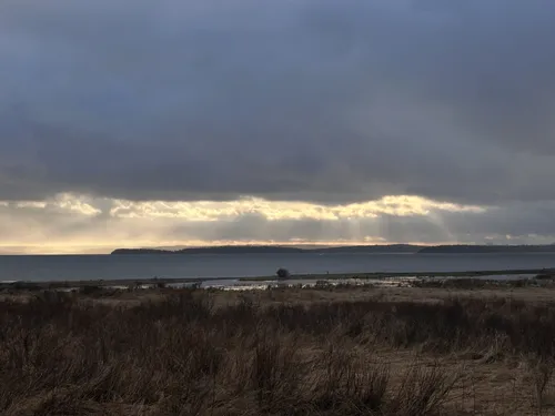 Best Wild Flowers Trails in Eastern Passage | AllTrails