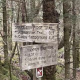 Mount Cammerer via Appalachian Trail, Tennessee - 246 Reviews, Map ...