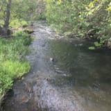 Miners Ravine Trail, California - 881 Reviews, Map | AllTrails