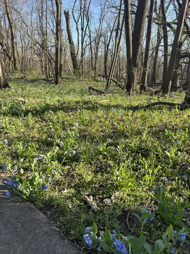 Best River Trails in George Wyth State Park | AllTrails