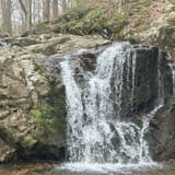 Cascade Falls Loop Trail, Maryland - 2,732 Reviews, Map | AllTrails