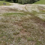 East Ridge and Cronan Ranch Loop, California - 1,054 Reviews, Map ...