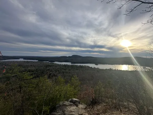 Best Forest Trails in Raymond | AllTrails