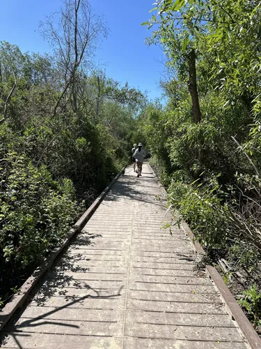 Best River Trails in Oceanside | AllTrails