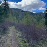 Mount Emily Recreation Area Loop, Oregon - 246 Reviews, Map | AllTrails