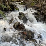 Mount Emily Recreation Area Loop, Oregon - 246 Reviews, Map | AllTrails