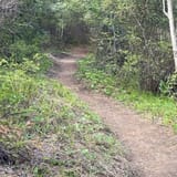 Mount Emily Recreation Area Loop, Oregon - 246 Reviews, Map | AllTrails