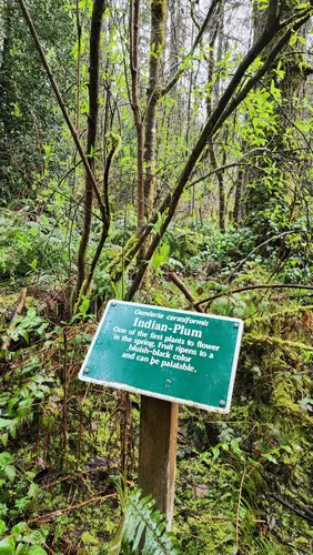 Best Easy Trails in Paradise Valley Conservation Area | AllTrails