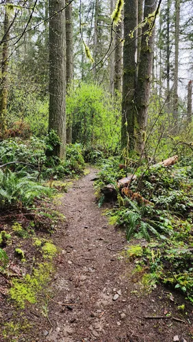 Best Easy Trails in Paradise Valley Conservation Area | AllTrails