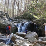 Cascade Falls Trail, Maryland - 1,693 Reviews, Map | AllTrails