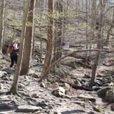 Cascade Falls Trail, Maryland - 1,693 Reviews, Map | AllTrails