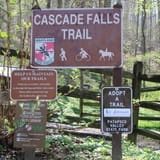 Cascade Falls Trail, Maryland - 1,728 Reviews, Map | AllTrails