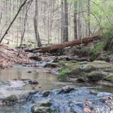 Cascade Falls Trail, Maryland - 1,743 Reviews, Map | AllTrails