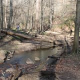 Cascade Falls Trail, Maryland - 1,743 Reviews, Map | AllTrails