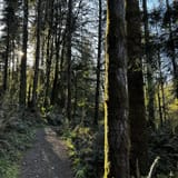 Tradition Lake Loop Trail, Washington - 1,578 Reviews, Map | AllTrails