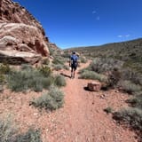 Guardian Angel Pass, Nevada - 1,867 Reviews, Map | AllTrails