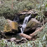 Grotto Falls via Trillium Gap Trail, Tennessee - 6,262 Reviews, Map ...