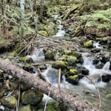 Upper Big Creek Loop, Washington - 2,723 Reviews, Map | AllTrails