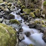 Upper Big Creek Loop, Washington - 2,723 Reviews, Map | AllTrails