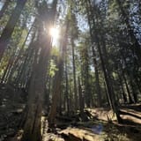 Idler's Rest Nature Preserve, Idaho - 262 Reviews, Map | AllTrails