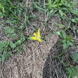 Idler's Rest Nature Preserve, Idaho - 262 Reviews, Map | AllTrails