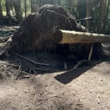 Idler's Rest Nature Preserve, Idaho - 262 Reviews, Map | AllTrails