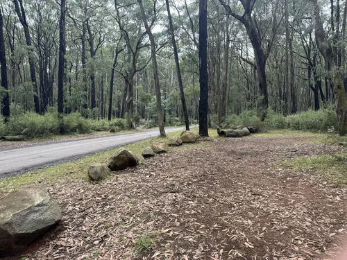 Best Views Trails in R.J. Hamer Arboretum | AllTrails