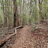 Kahakapao Loop Trail, Maui, Hawaii - 2,203 Reviews, Map | AllTrails