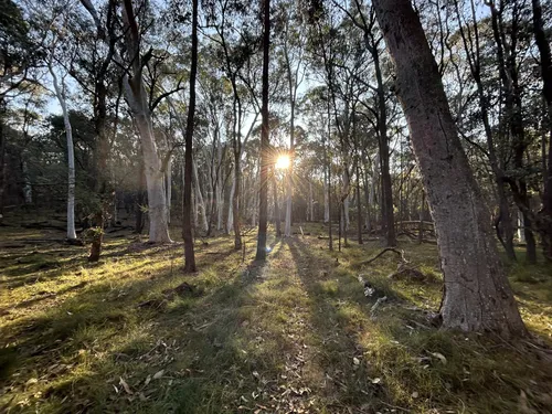 Best Hikes and Trails in Woomargama National Park | AllTrails
