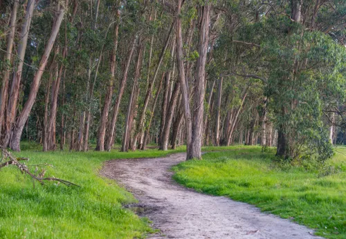 Best Kid Friendly Trails in Point Pinole Regional Park | AllTrails