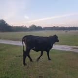 Panther Point Trail, Florida - 209 Reviews, Map | AllTrails