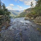 Fitzroy Falls East Rim and Wildflower Track, New South Wales, Australia ...